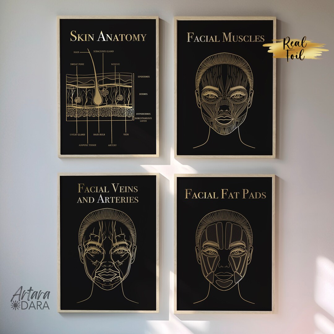 Aesthetic Poster, Face Anatomy Art, Real Foil Print, Beauty Salon Decor ...
