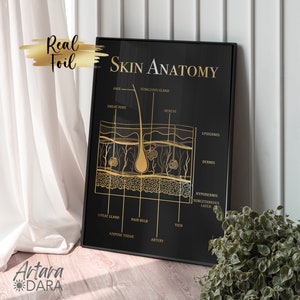 Skin Anatomy Poster, Real Foil Print, Beauty Salon Decor, Skin Care Art ...
