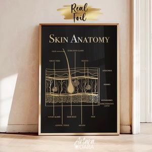 Face Anatomy Art, Gold Foil Print, Beauty Salon Decor, Facial Aftercare ...