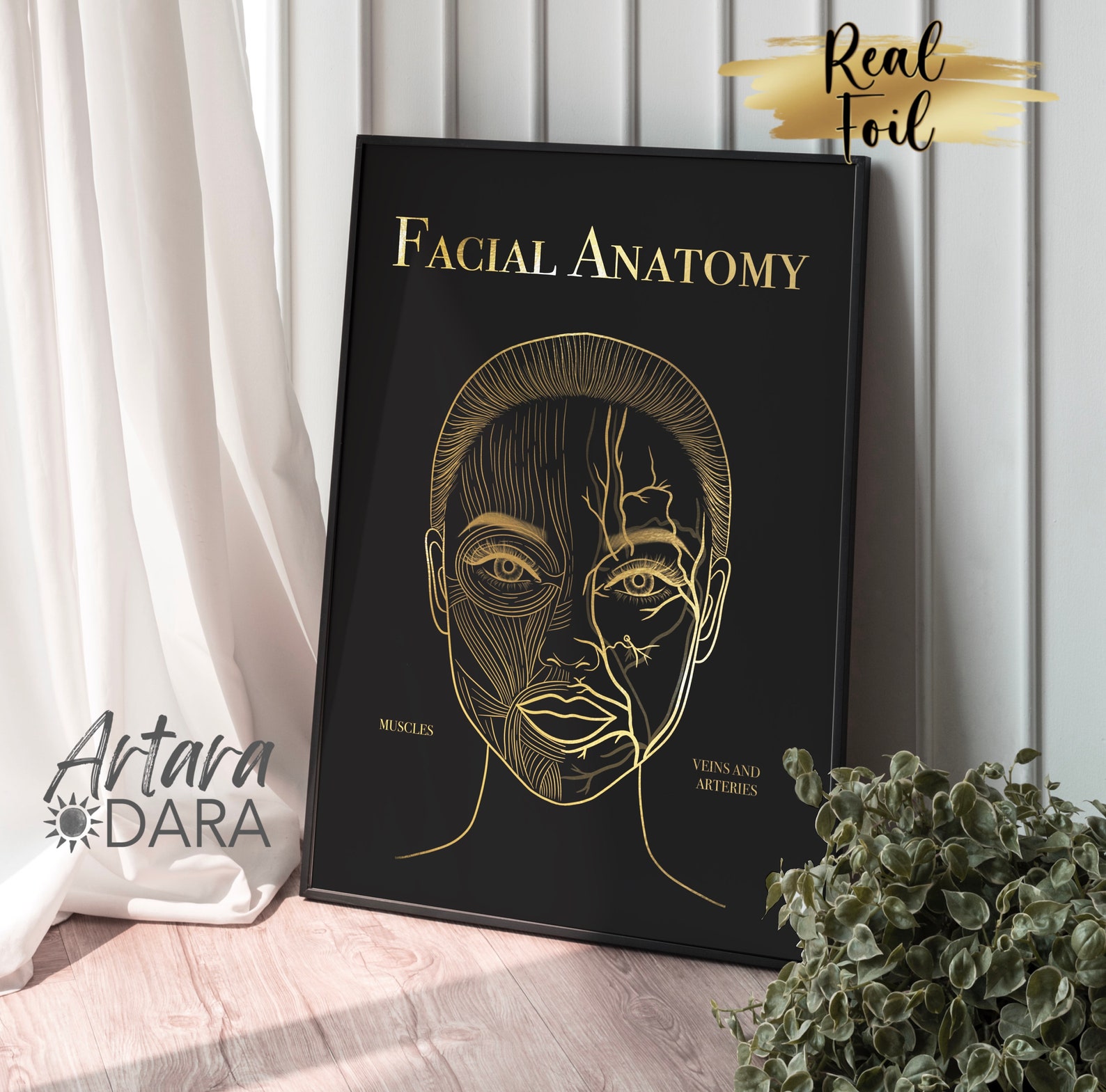 Face Anatomy Art, Real Foil Print, Beautician Gift, Facial Muscles Art ...