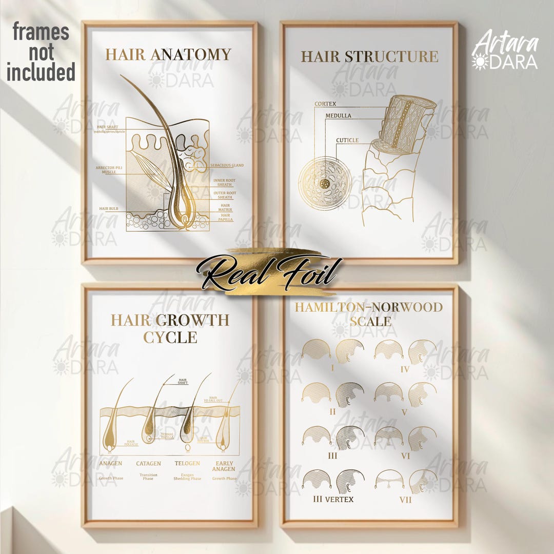 Hair Wall Art, Real Foil Print, Trichology Poster, Norwood Scale, Hair ...