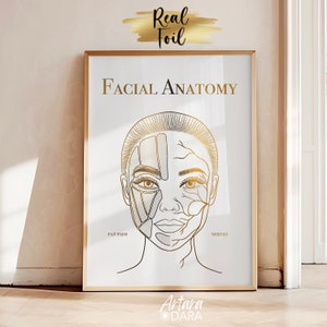 Face Anatomy Print, Real Foil Poster, Fitzpatrick Scale, Skin Anatomy ...