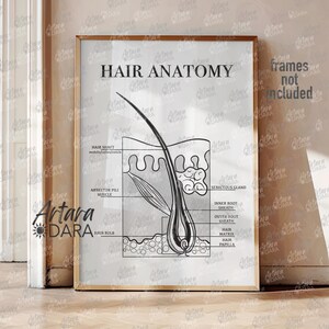 Hair Anatomy Poster, Hair Salon Decor, Hair Clinic Decor, Hair ...