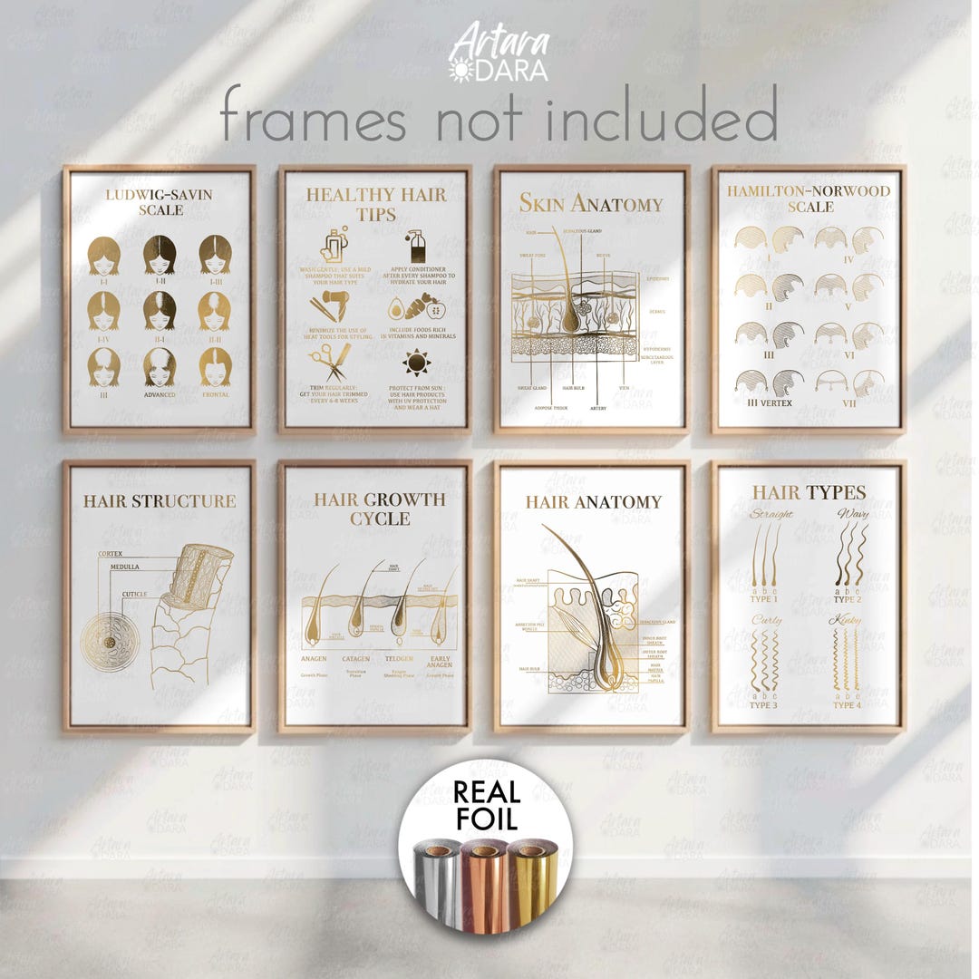 Gold Foil Hair Anatomy Poster Set | Trichology Clinic Decor - Etsy