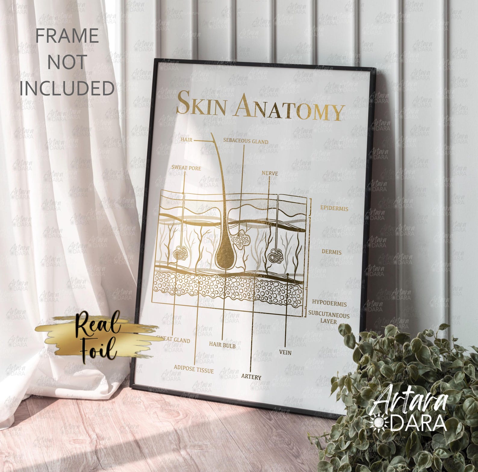 Gold Foil Botox & Facial Anatomy Posters: Beauty Clinic Decor (no ...