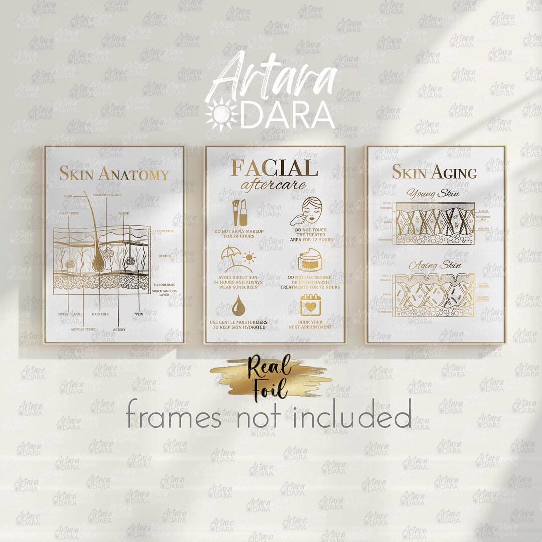 Skin Anatomy Poster, Skin Aging Art, Real Foil Print, Facial Aftercare ...