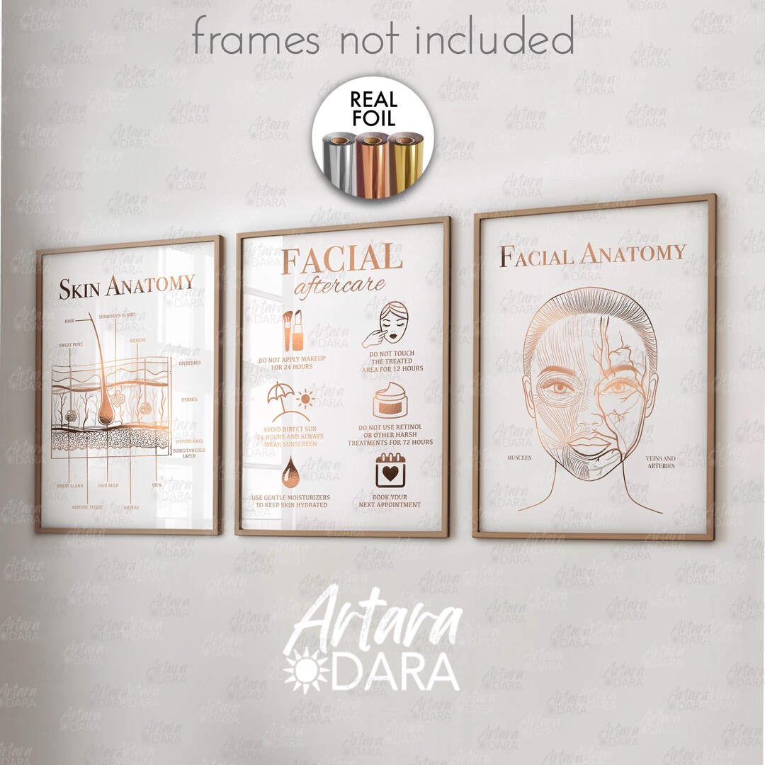 Facial Anatomy, Real Foil Print, Rose Gold Print, Facial Aftercare ...