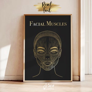 4 Facial Posters, Real Foil Print, Facial Aftercare Art, Skin Anatomy ...
