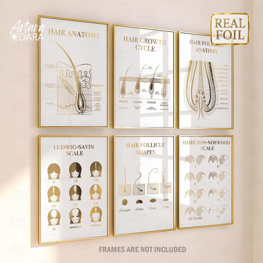 Hair Anatomy Posters Set of 6, Trichology Wall Art , Har Loss Scales ...
