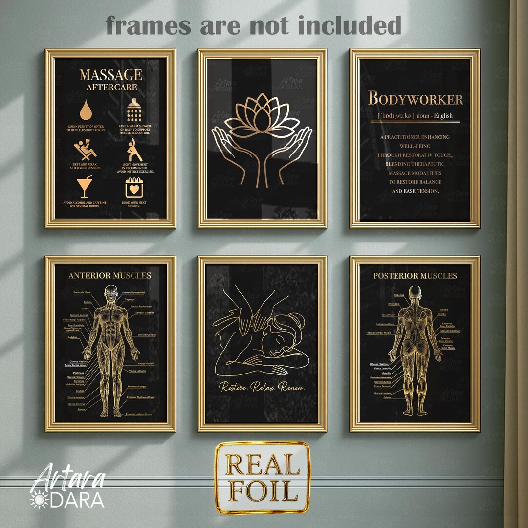 Professional Massage Wall Art – Set of 6 Gold Foil Muscle Anatomy ...