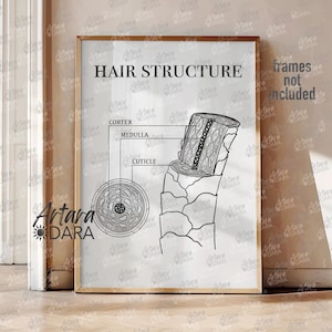 Hair Anatomy Poster, Hair Salon Decor, Hair Clinic Decor, Hair ...