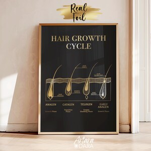 Hair Anatomy Poster, Real Foil Print, Trichology Art, Hair Clinic Decor ...