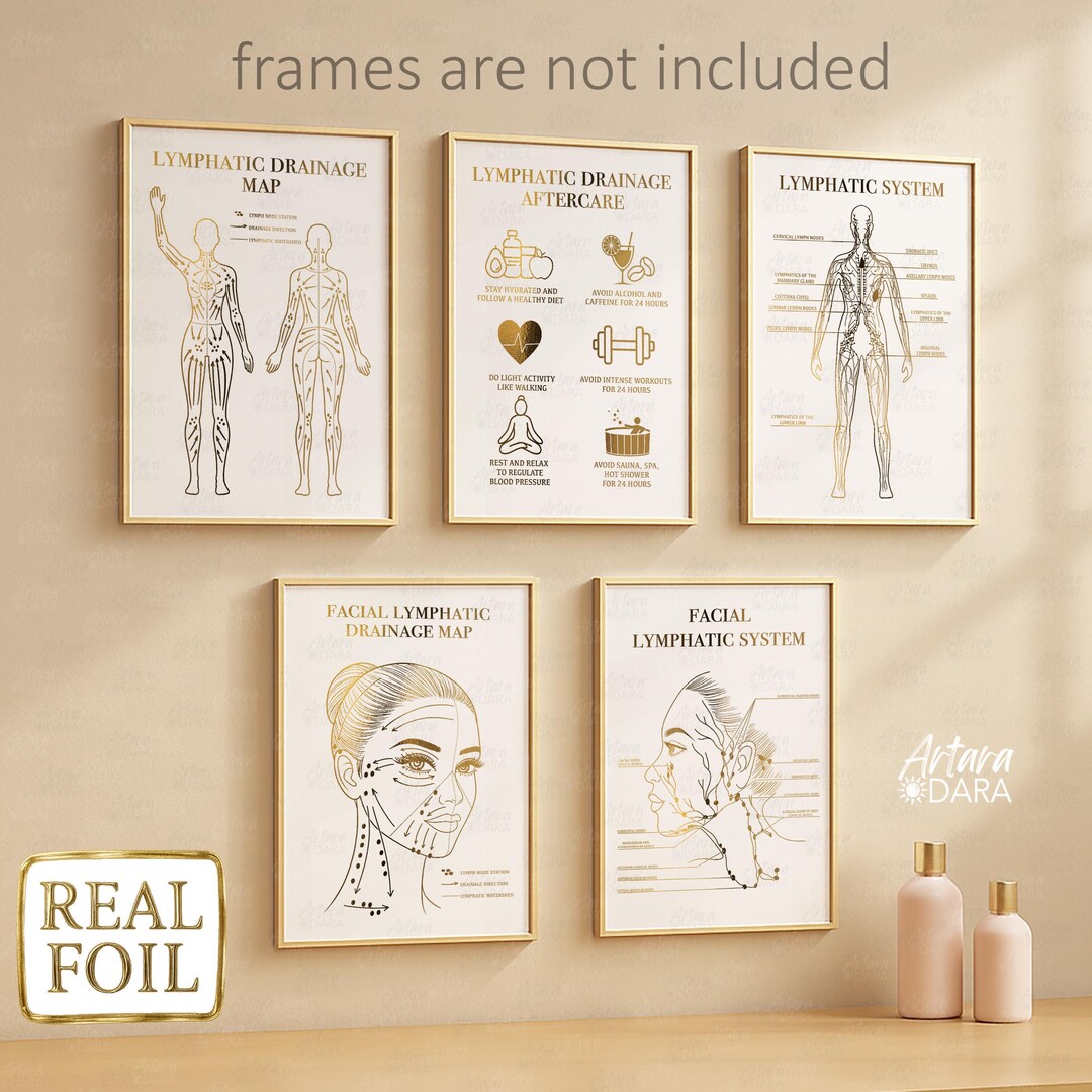 Gold Foil MLD Posters Set of 5 , Lymphatic System and Drainage Map ...