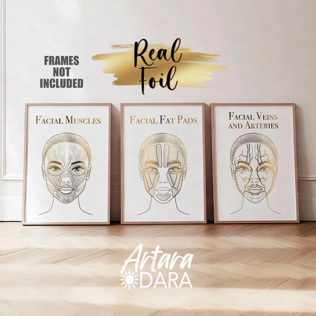 Real Foil Face Anatomy Poster, Beauty Clinic Decor, Plastic Surgery Art ...