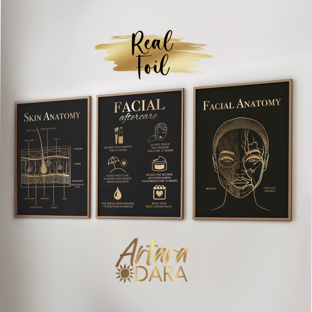 Facial Anatomy Print, Dermatology Poster, Real Foil Print, Skin Anatomy ...