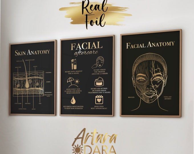 Facial Anatomy Print, Dermatology Poster, Real Foil Print, Skin Anatomy ...