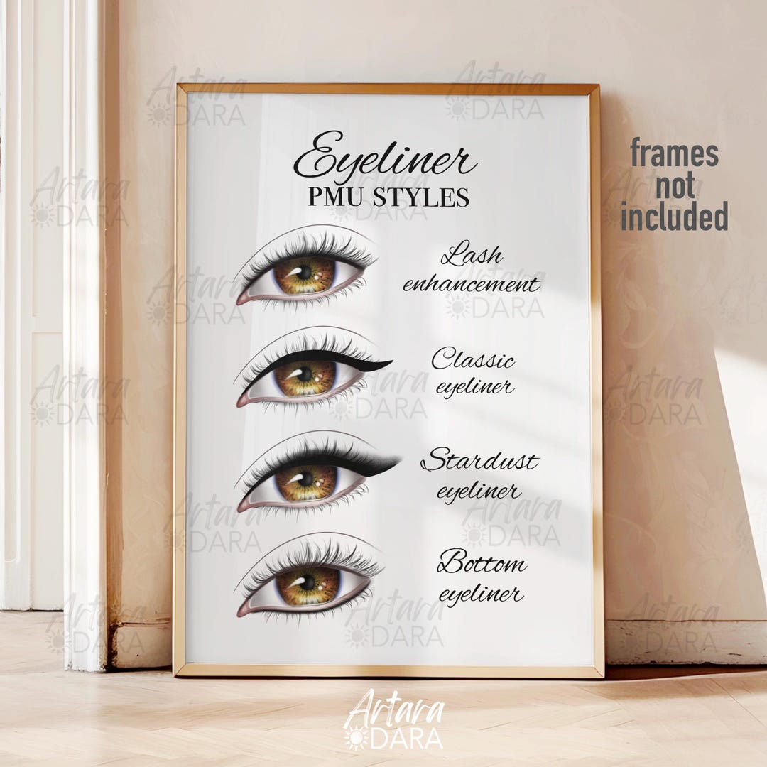 PMU Salon Poster, Eyeliner PMU Styles , Permanent Makeup Poster, PMU ...
