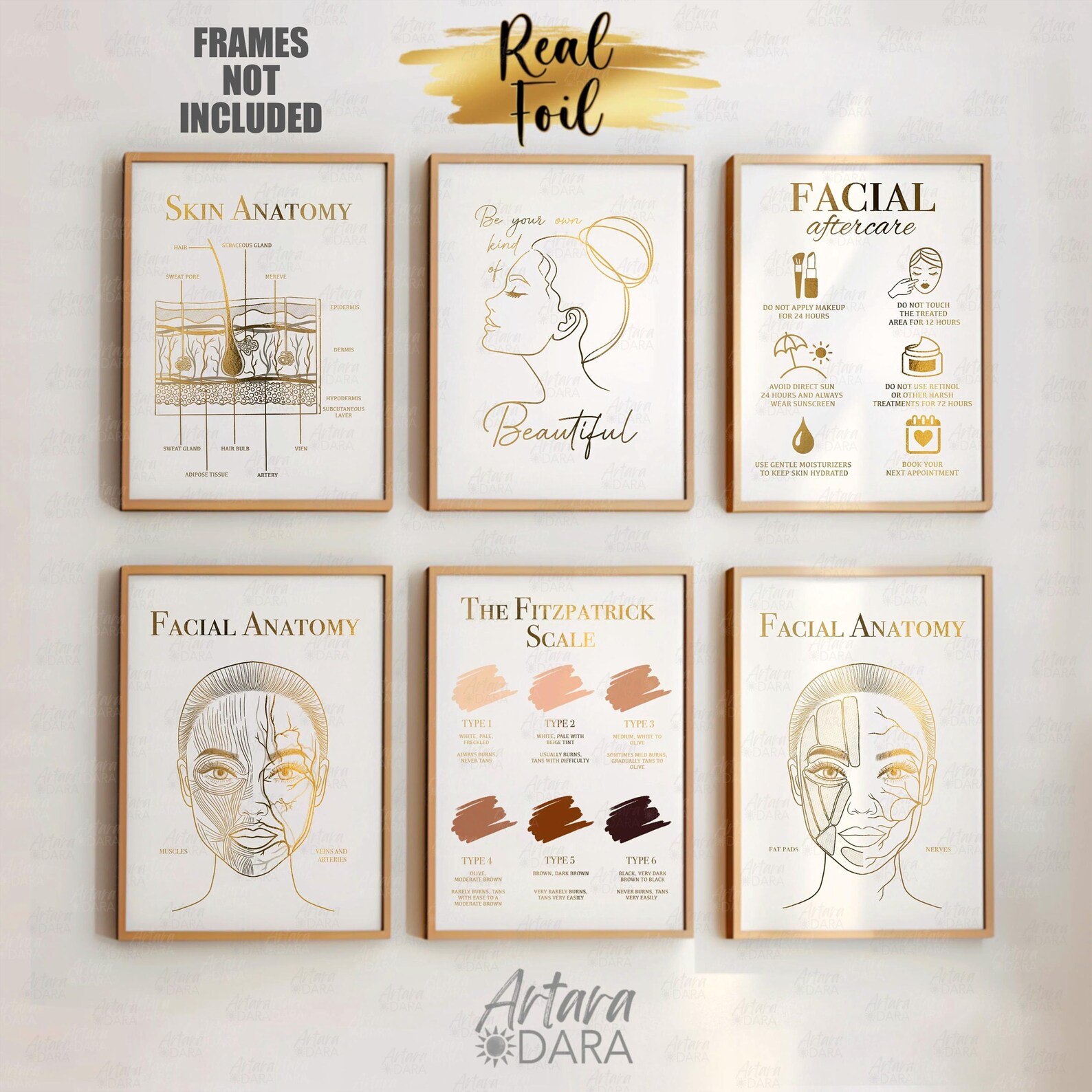 Real Foil Print, Facial Anatomy, Beauty Clinic Decor, Set of 6 - Etsy