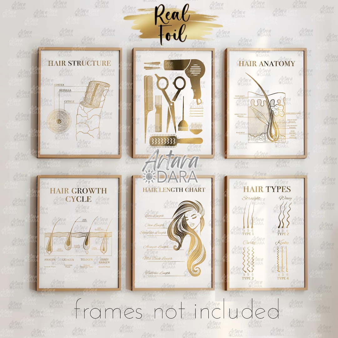 Hair Salon Decor, Hairdresser Poster, Gold Foil Art, Hair Growth Cycle ...