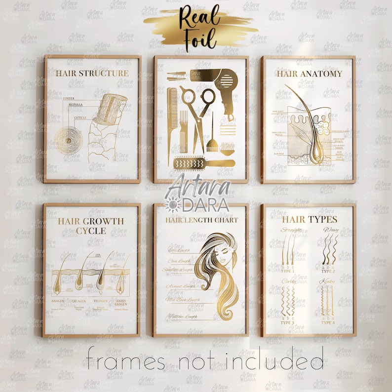 Hair Salon Decor, Hairdresser Poster, Gold Foil Art, Hair Growth Cycle ...