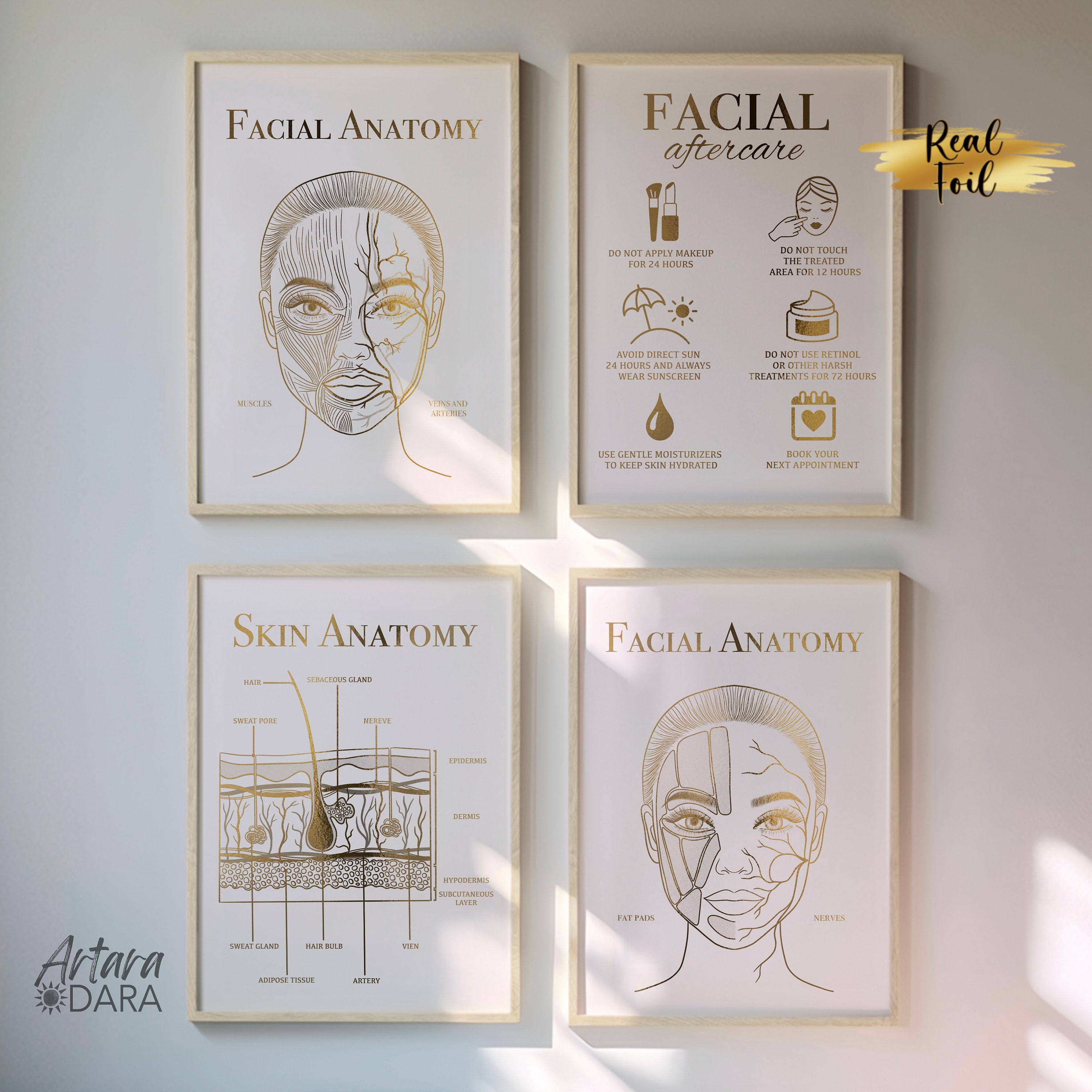 Facial Anatomy, Skin Anatomy Art, Real Foil Print, Facial Aftercare ...