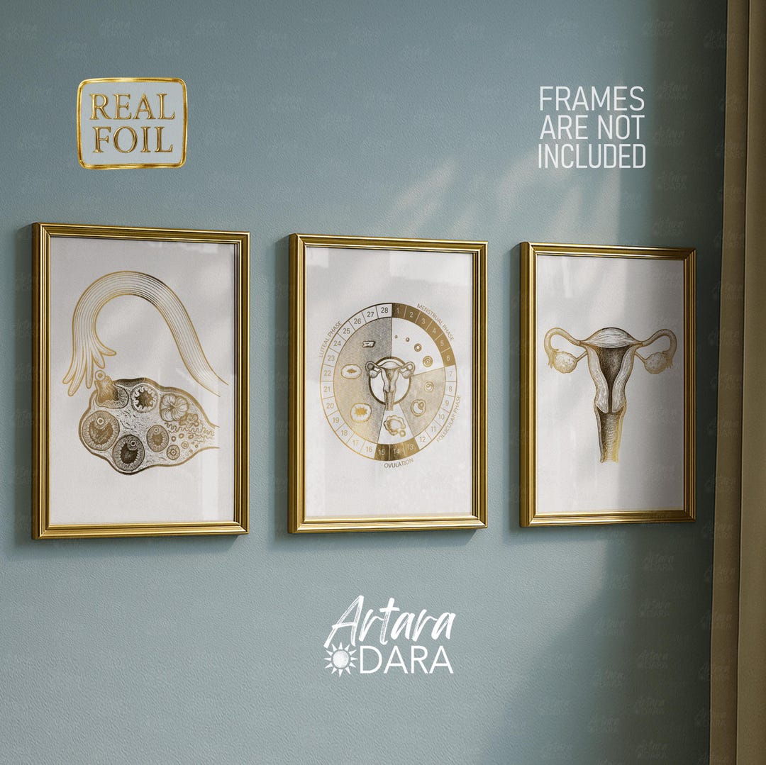 Gynecology Anatomy Poster Set of 3 – Gold Foil Medical Prints (unframed ...