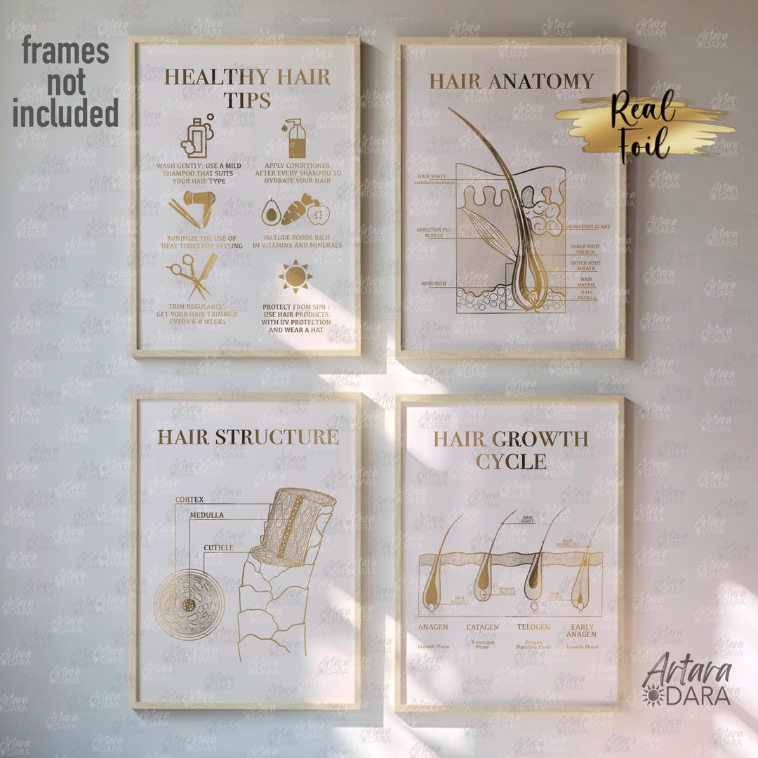 Hair Clinic Decor, Hair Salon Poster, Real Foil Print, Hair Anatomy ...