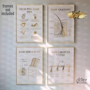 Hair Clinic Decor, Hair Salon Poster, Real Foil Print, Hair Anatomy ...