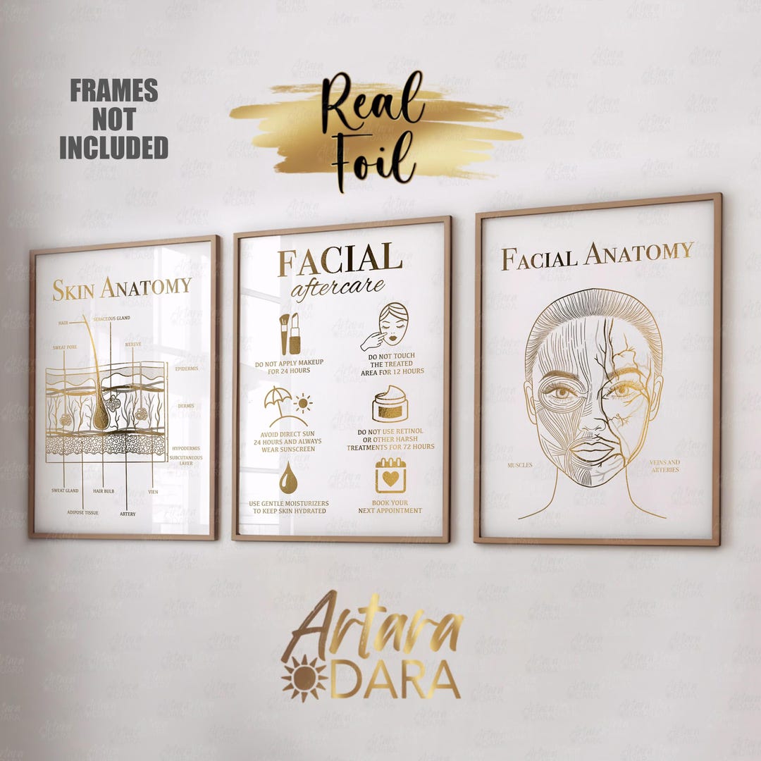 Facial Aftercare Art, Real Foil Print, Beauty Salon Decor, Skin Anatomy ...