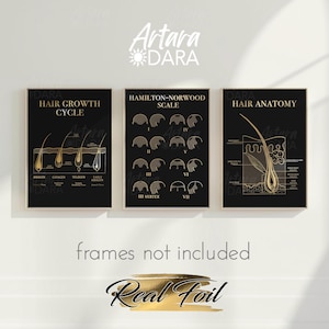 Hair Anatomy Poster, Real Foil Print, Trichology Art, Hair Clinic Decor ...