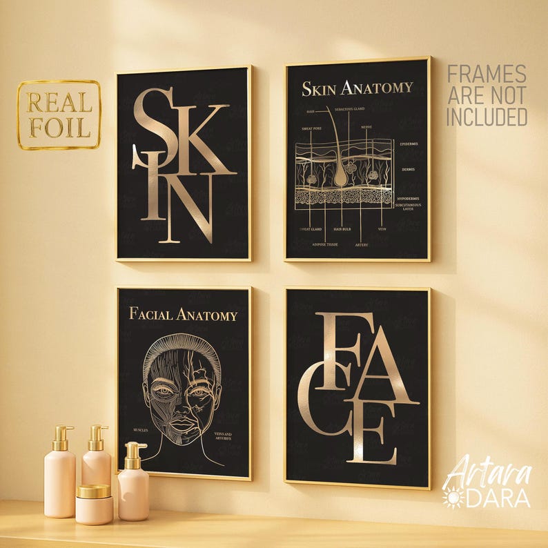 Foil Facial Anatomy Poster Set – Clinic & Spa Decor (unframed) - Etsy