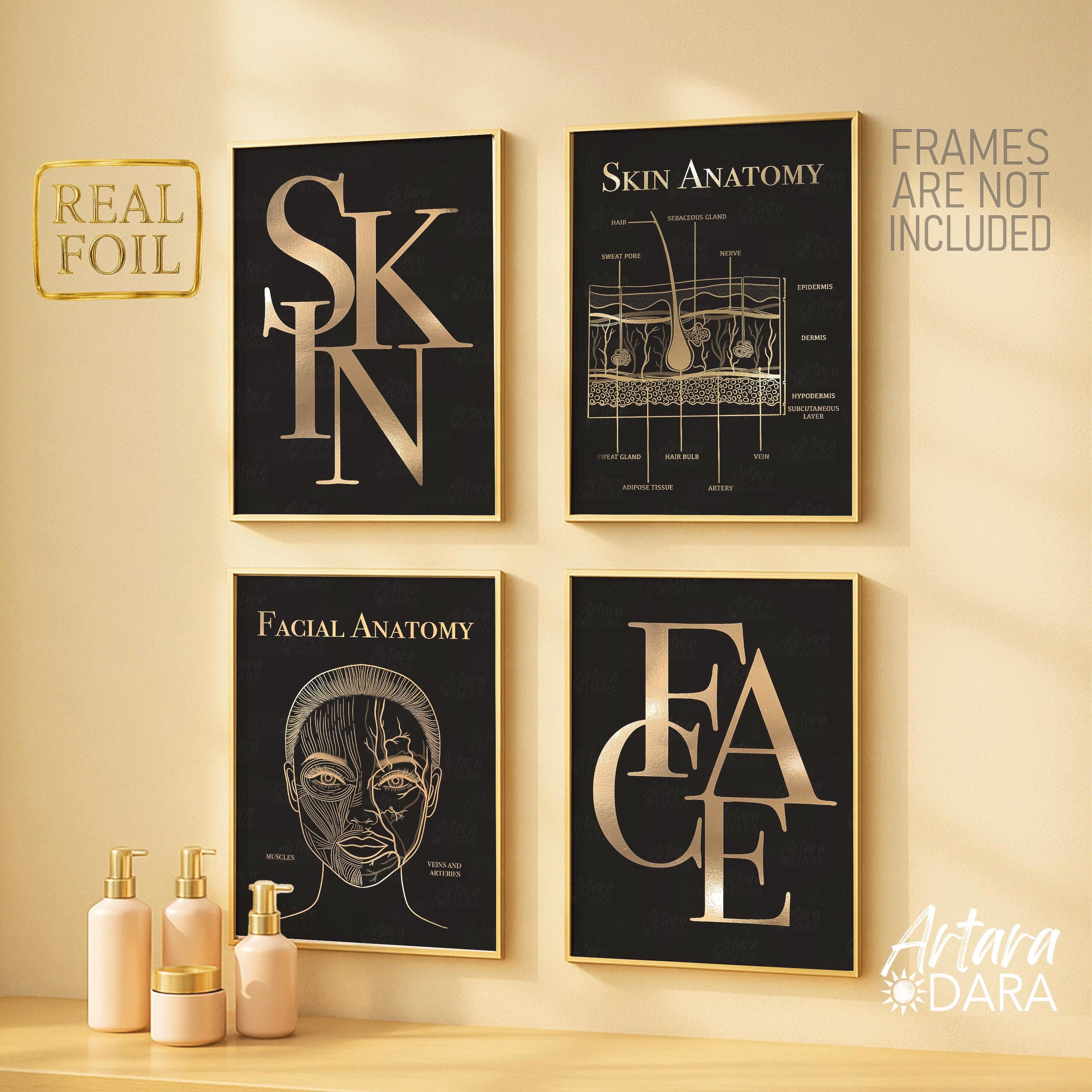 Foil Facial Anatomy Poster Set – Clinic & Spa Decor (unframed) - Etsy
