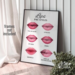 PMU Salon Decor, Permanent Makeup Poster, PMU Tech Print, Beauty Salon ...