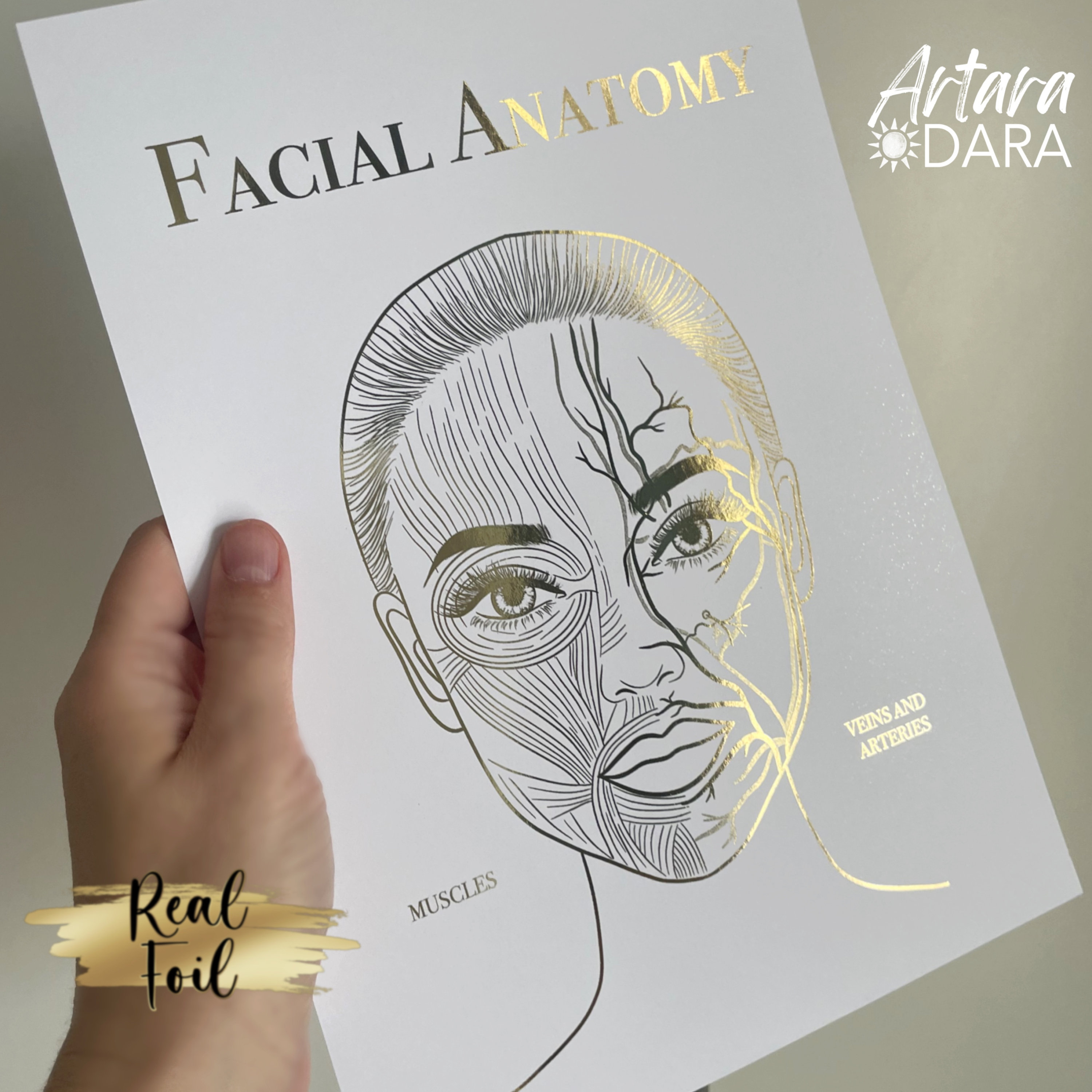 Real Foil Print, Facial Anatomy, Beauty Clinic Decor, Set of 6 - Etsy