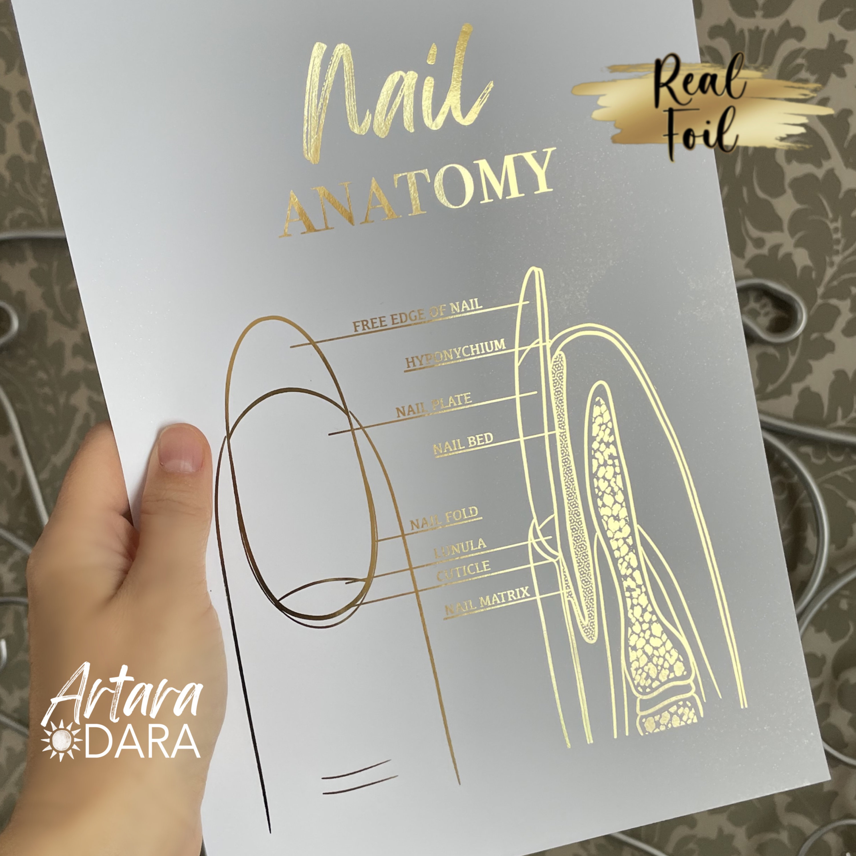 Nail Structure Art, Nail Anatomy Poster, Real Foil Print, Nails Salon ...
