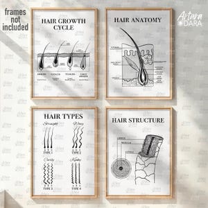 Hair Anatomy Poster, Hair Salon Decor, Hair Clinic Decor, Hair ...