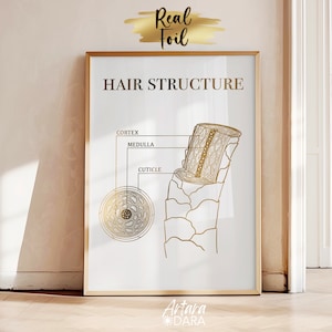 Hair Structure Art, Gold Foil Print, Hair Salon Decor, Hair Growth ...