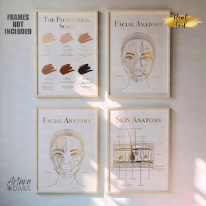 Face Anatomy Print, Real Foil Poster, Fitzpatrick Scale, Skin Anatomy ...