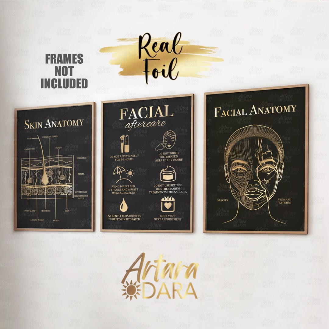 Facial Anatomy Print, Dermatology Poster, Real Foil Print, Skin Anatomy ...