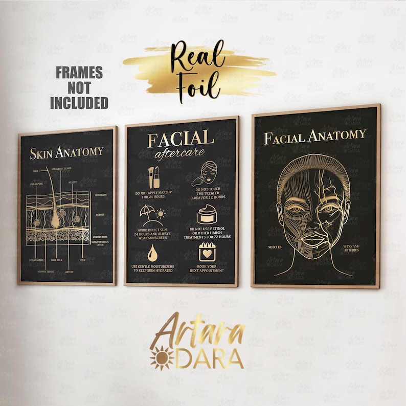 Facial Anatomy Print, Dermatology Poster, Real Foil Print, Skin Anatomy ...