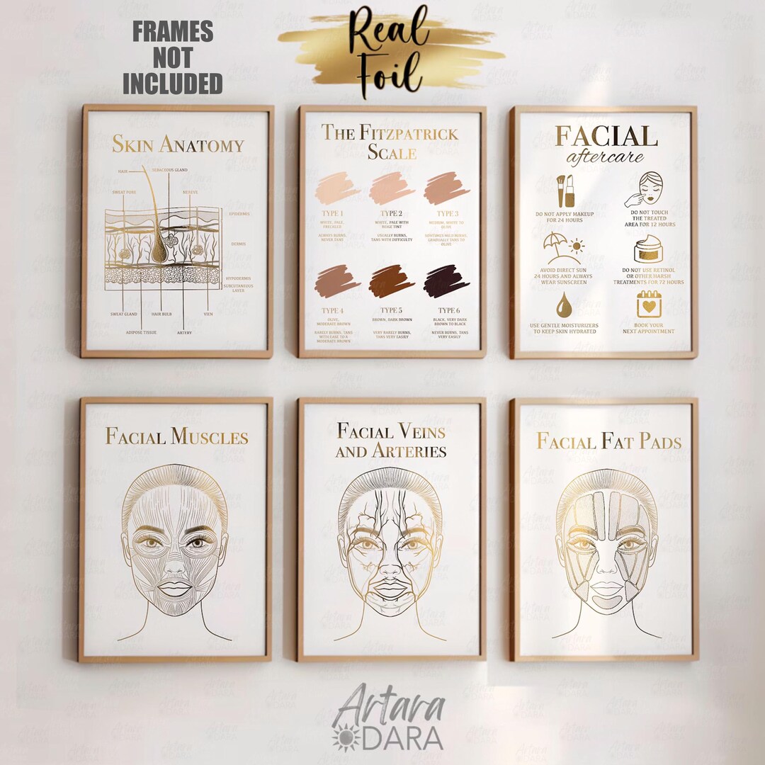 Face Anatomy Art, Real Foil Print, Facial Aftercare, Fitzpatrick Scale ...