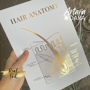 Laser Hair Removal, Real Foil Print, Hair Removal Print, Laser Salon ...