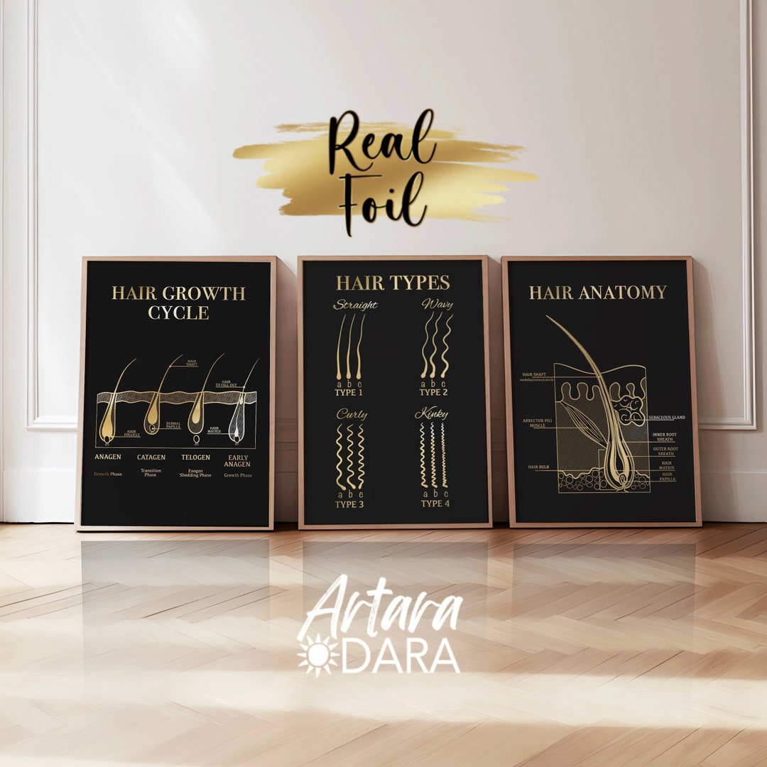 Hair Anatomy Poster, Dermatology Print, Gold Foil Print, Hair Growth ...