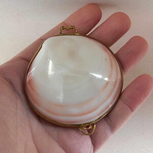 Shell Purse ,2 Vintage Shell Purses ,brass Bound Polished Shell Purses ...