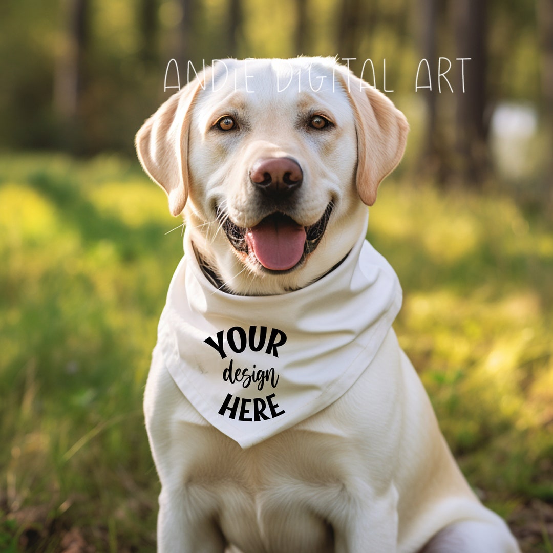 Labrador Retriever Dog Bandana Mocks Dog Bandana Mockup Pet Collar ...