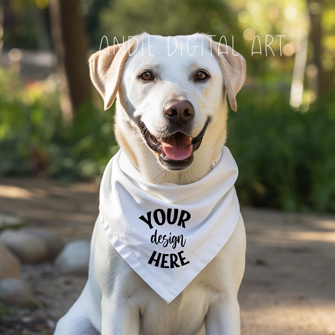 Labrador retriever cão bandana mockup cão bandana mockup coleira para ...