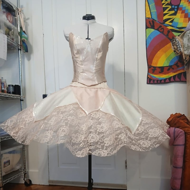 Adult Ballet Tutu Dress - Etsy