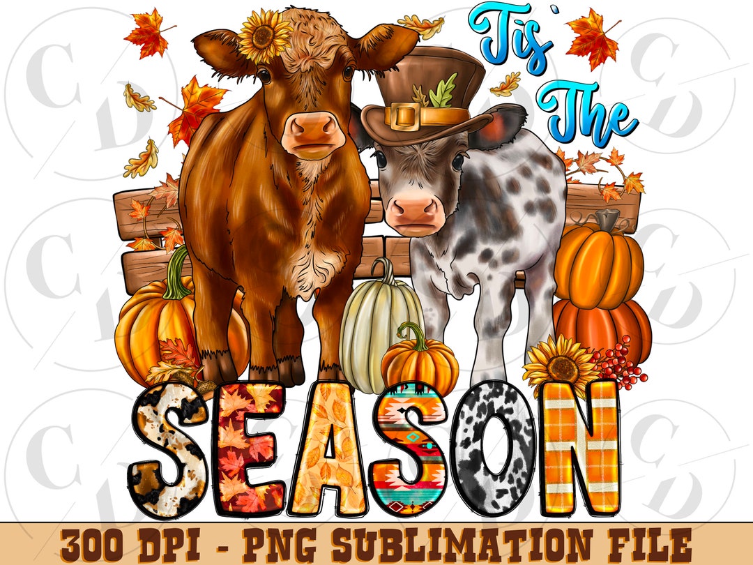 Tis' the Season Png, Fall Cows PNG, Fall PNG, Pumpkin PNG, Thankful ...