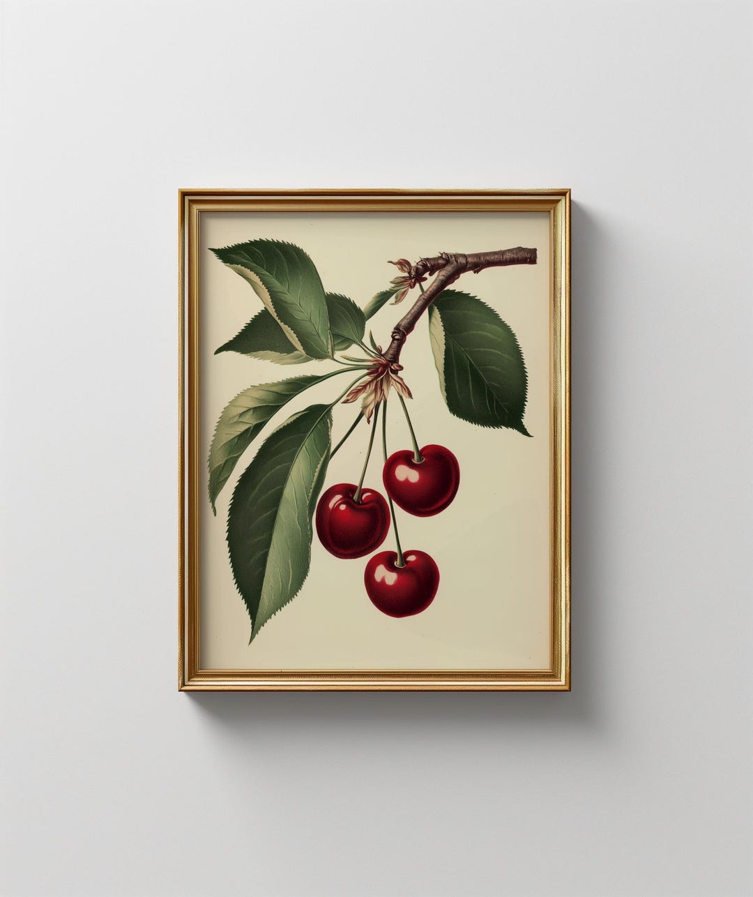 Vintage Cherry Botanical Print: Rustic Kitchen Wall Art (digital ...