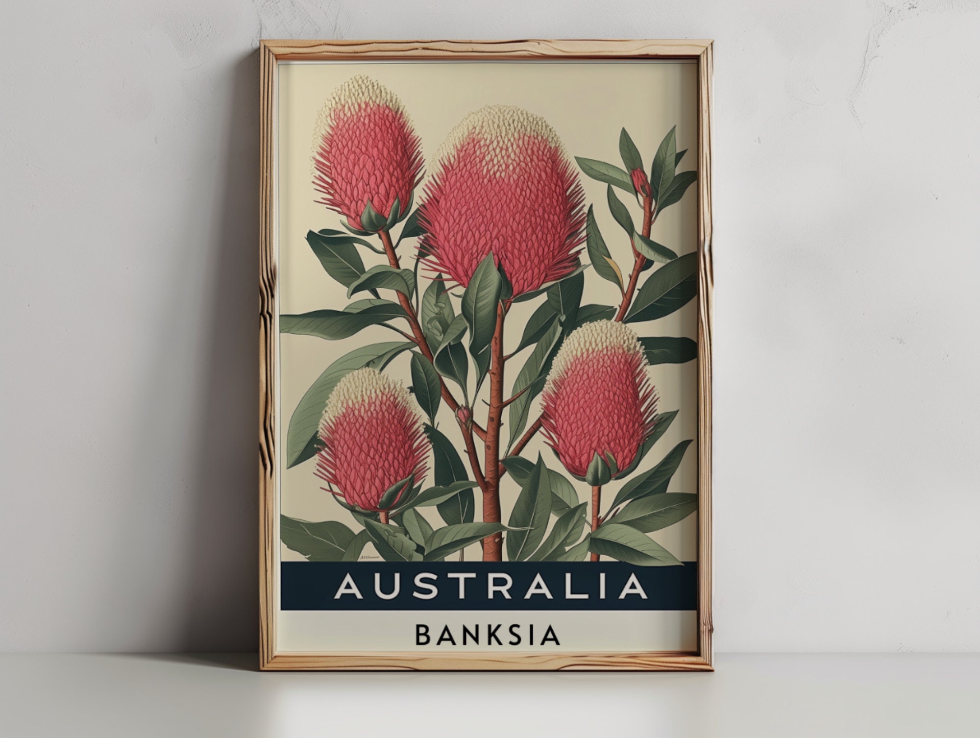 Vintage Australian Flower Poster Set: Banksia, Wattle, Waratah (digital ...